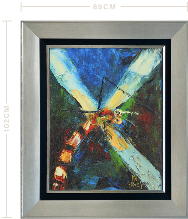 Pro Hart Giclée – Dragonfly - David Hart