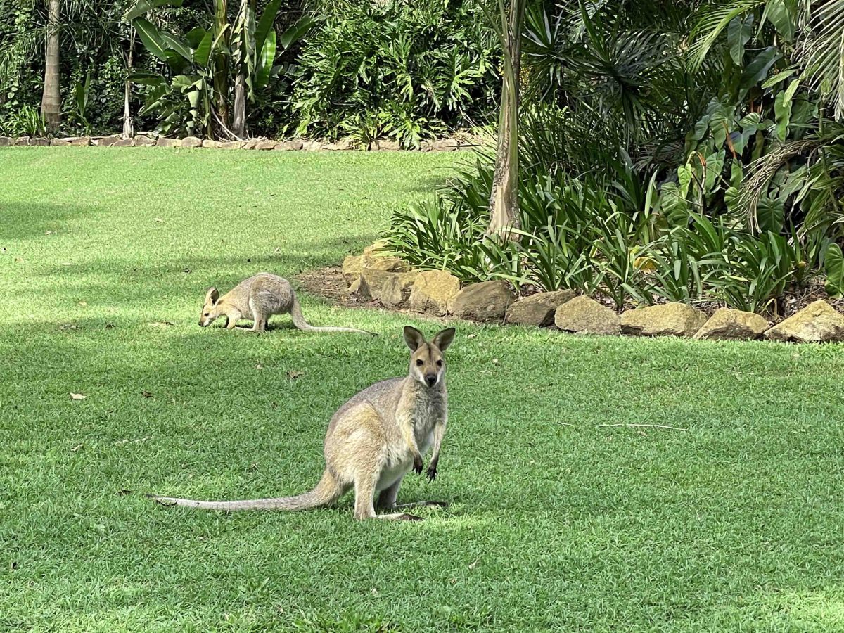 Experiences | David Hart Galleries