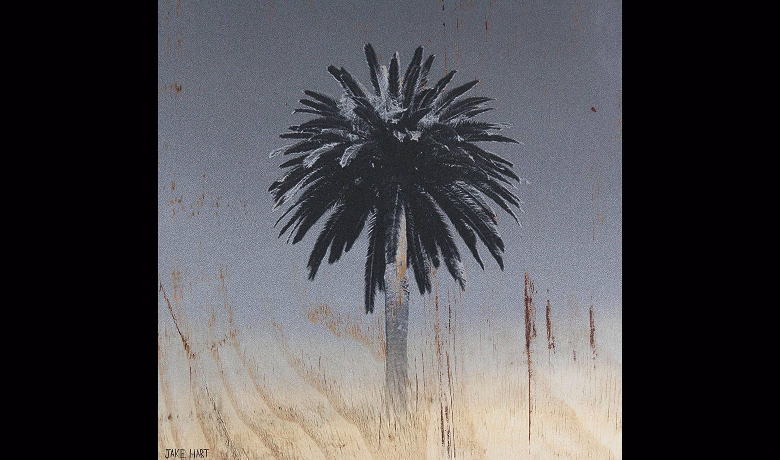 Jake Hart – The Search - David Hart