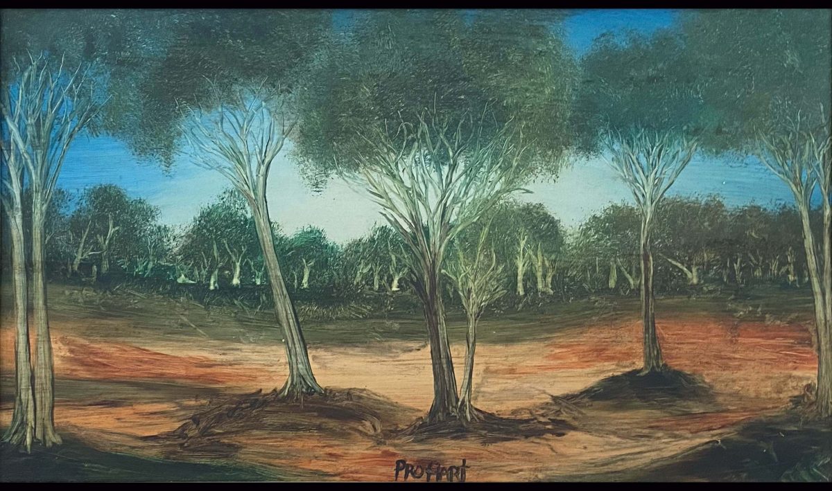 Pro Hart Originals - Page 15 of 22 - David Hart