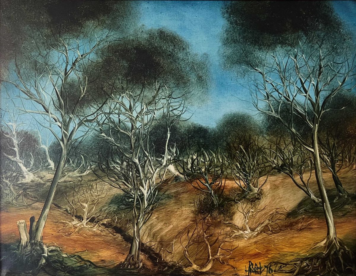 Mulga Creek - David Hart
