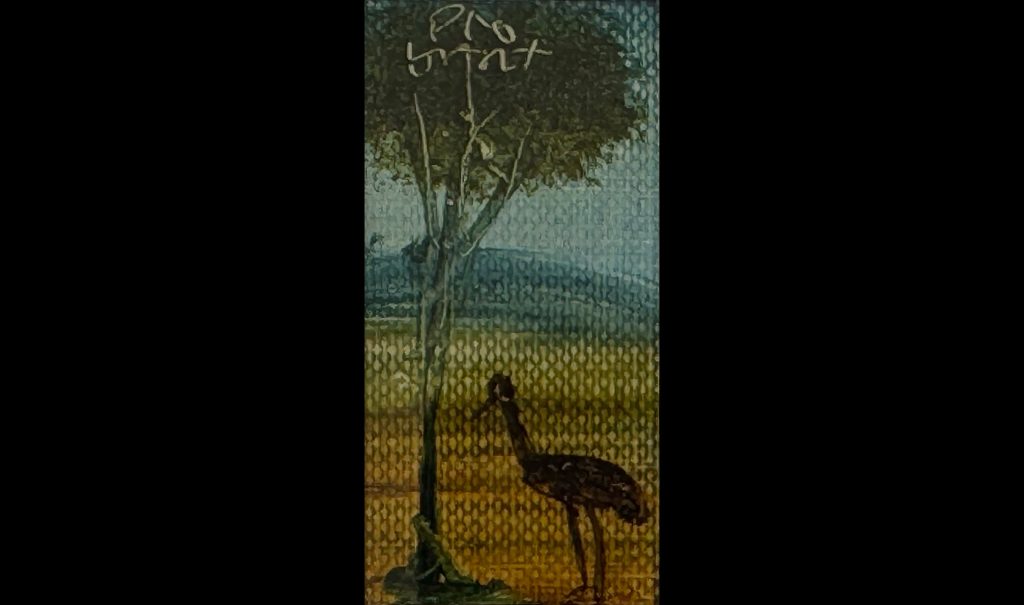 Emu 2 - David Hart