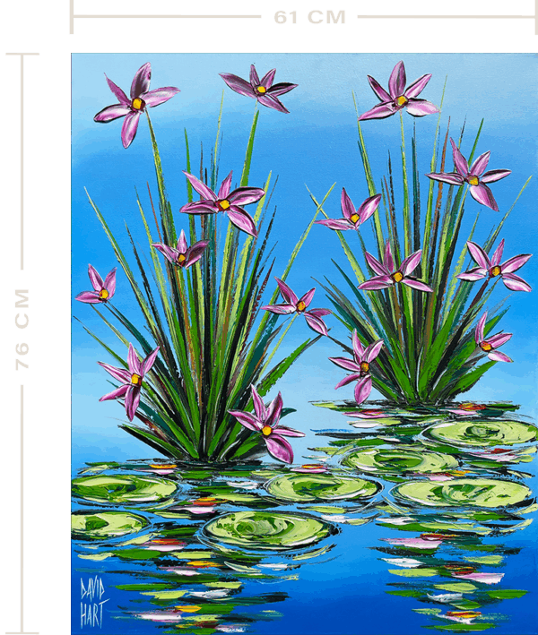 Reflections & Lilies - David Hart